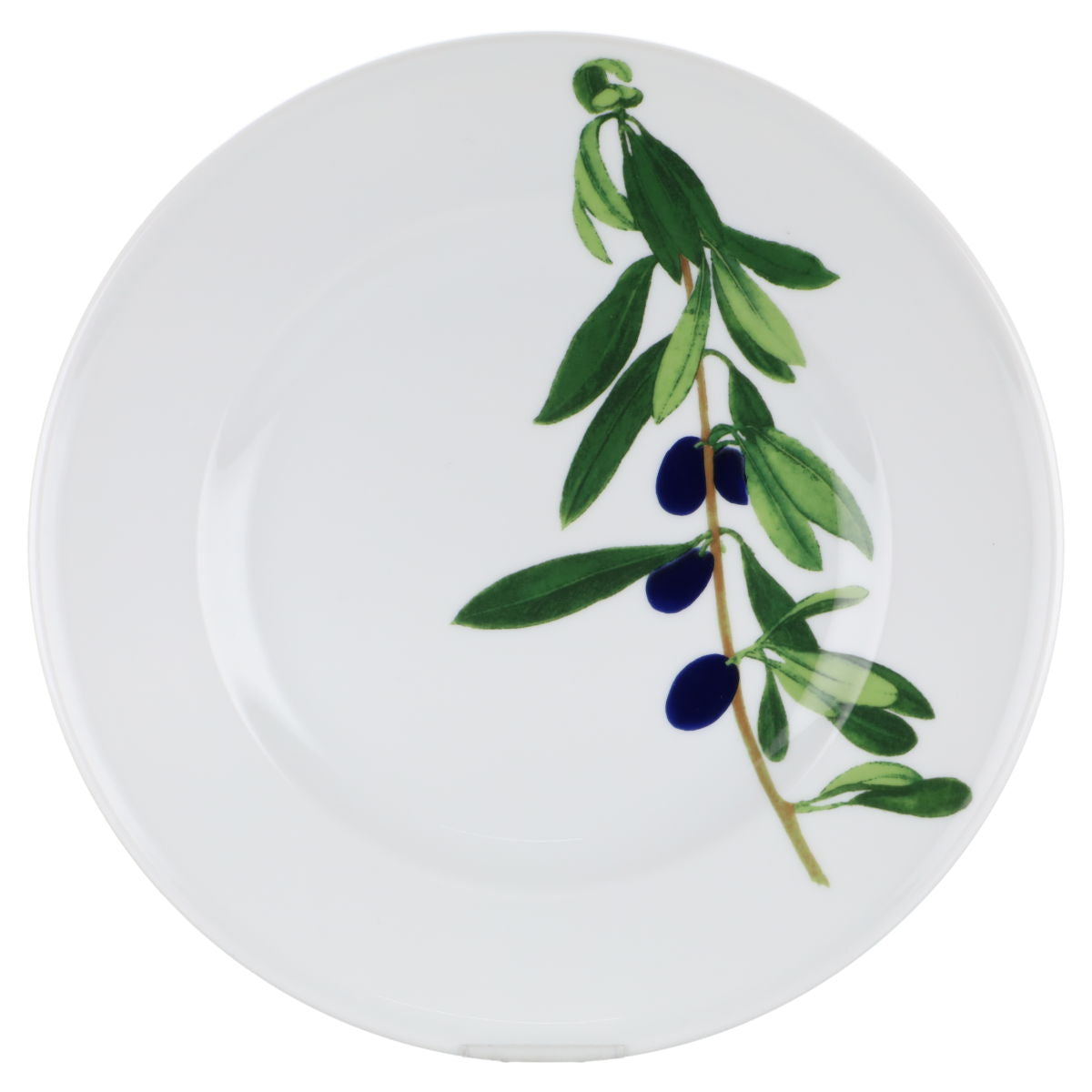 Dibbern - Herbaticum - Olive online günstig kaufen | Porzellanbörse ...